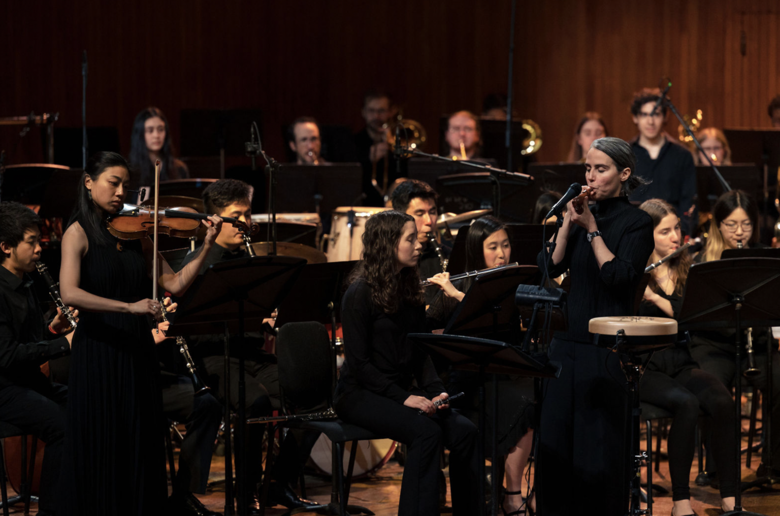 Clarice Assad | Amazônia Sem Lei (MIT Residency)